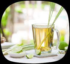 Infusion de Citronnelle (20 sachets) | Site Merci Oscar!